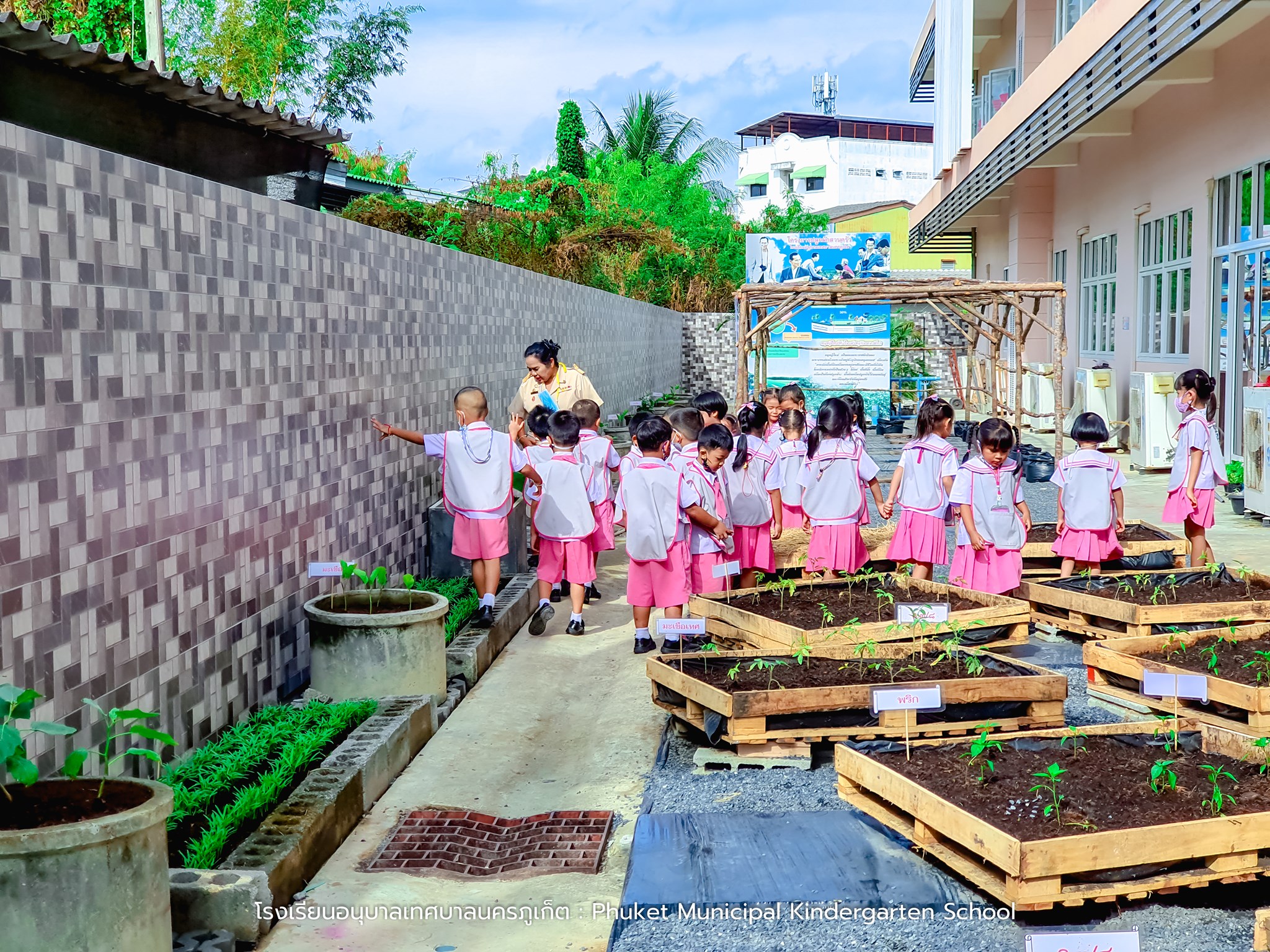 การเรียนรู้แบบโครงงาน (Project Approach) ระยะที่ 1 ระยะเริ่มต้นโครงงาน ...